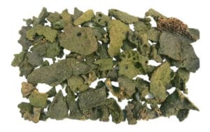 10 Benefícios da Própolis Verde para o Seu Corpo